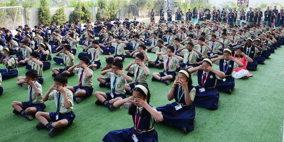 Buds International Schools